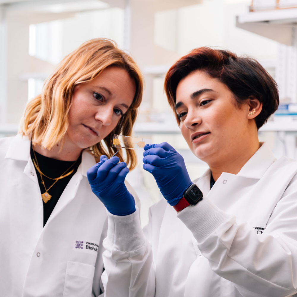 Chan Zuckerberg Initiative Tech Hub - CZI Careers & Stories